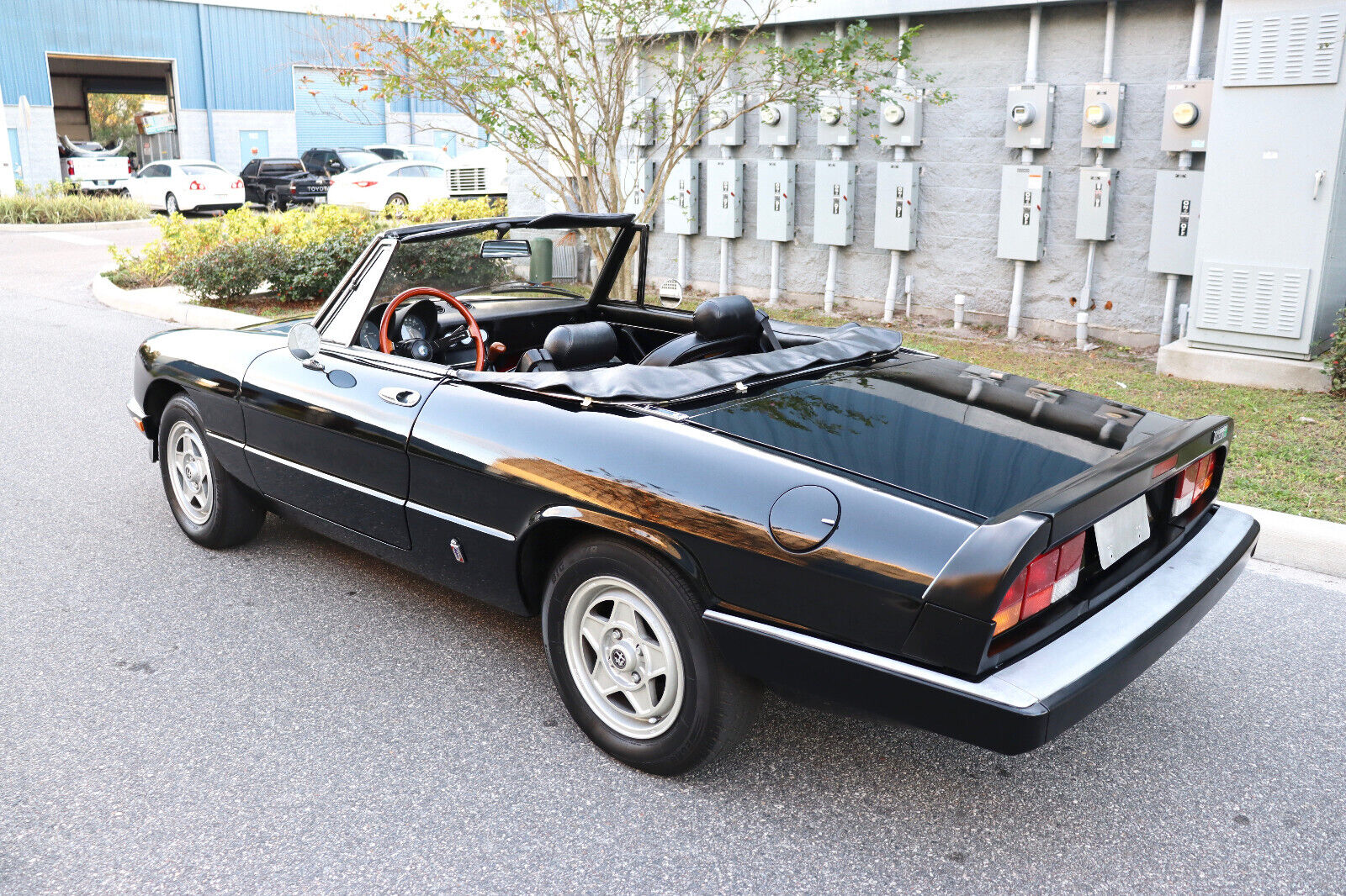 1984 Alfa Romeo Spider Veloce Convertible Restored for sale