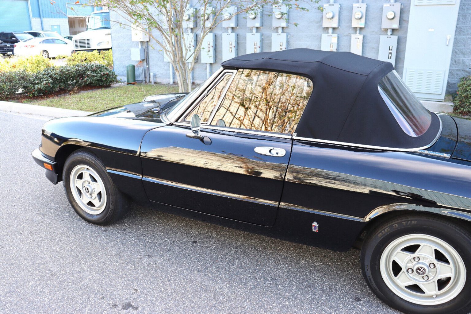 1984 Alfa Romeo Spider Veloce Convertible Restored for sale