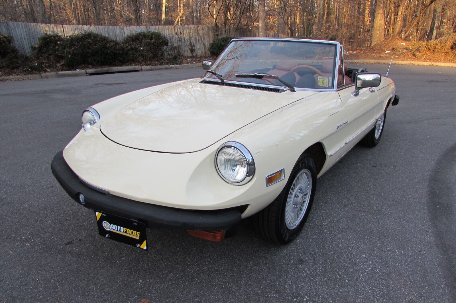 1981 Alfa Romeo Spider 2000 for sale